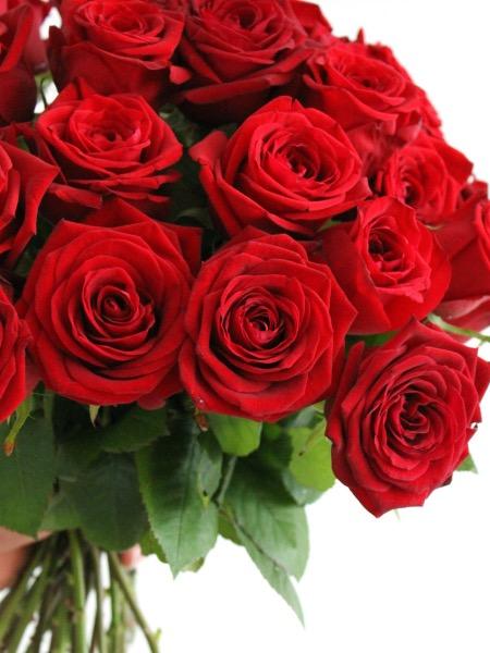 Viipurintien Kukka - Ruusut - Ruusukimppu punainen ️